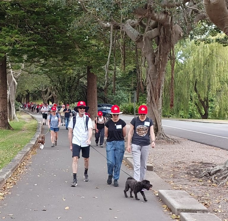 Walk for life 2025 – Walk for Life Sydney